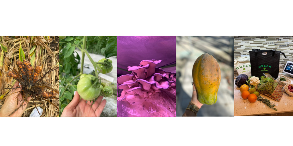 Farm Fresh Produce Delivery in Miami and Broward – Green Tomato