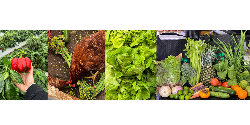 Farm Fresh Produce Delivery in Miami and Broward – Green Tomato