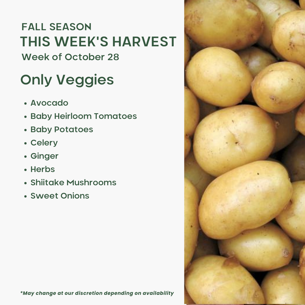 Farm Fresh Produce Delivery in Miami and Broward – Green Tomato