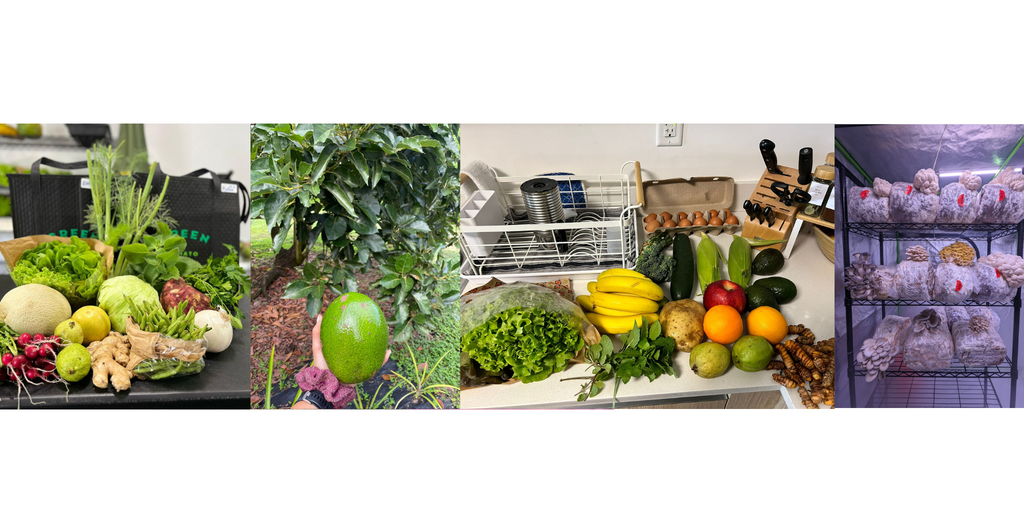 Farm Fresh Produce Delivery in Miami and Broward – Green Tomato